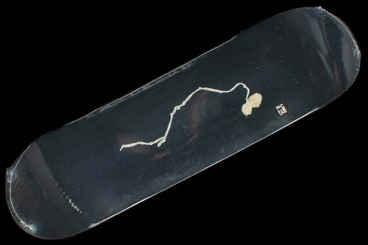 Loreth - Yuzistring Deck 8.25", 8.38" & 8.5" – Premier